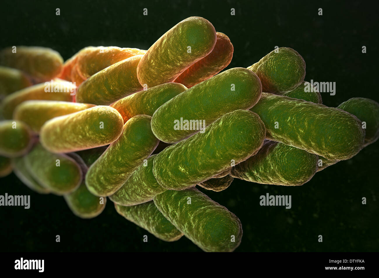 Legionella Pneumophila Bacteria Stock Photo - Alamy