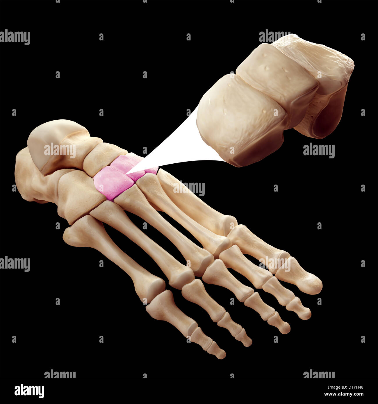 Cuneiform High Resolution Stock Photography and Images - Alamy