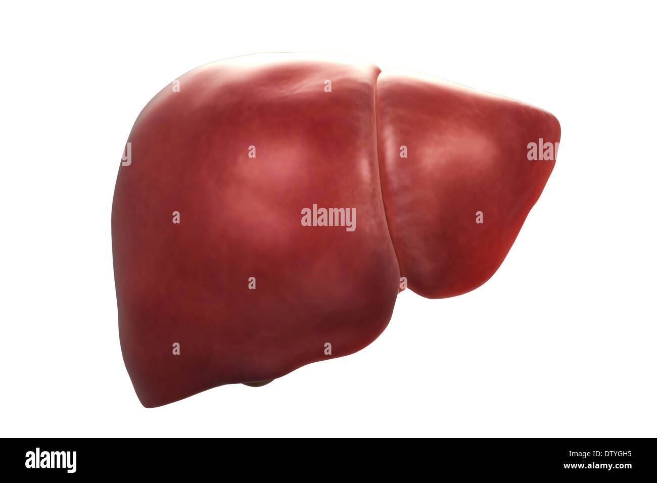 3d visualisation Cut Out Stock Images & Pictures - Alamy