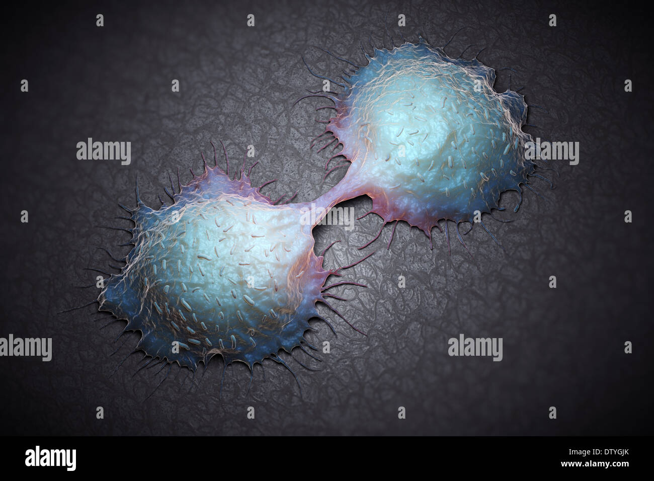 Colon Cancer Cells Stock Photo - Alamy