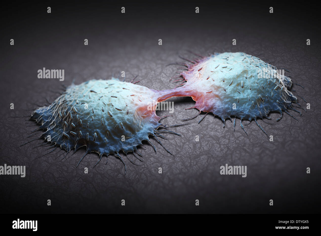 Colon Cancer Cells Stock Photo - Alamy