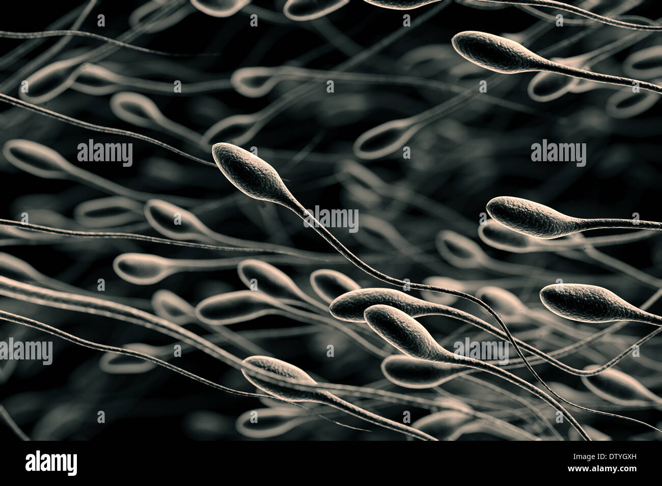Sperm cell illustration hi-res stock photography and images - Alamy