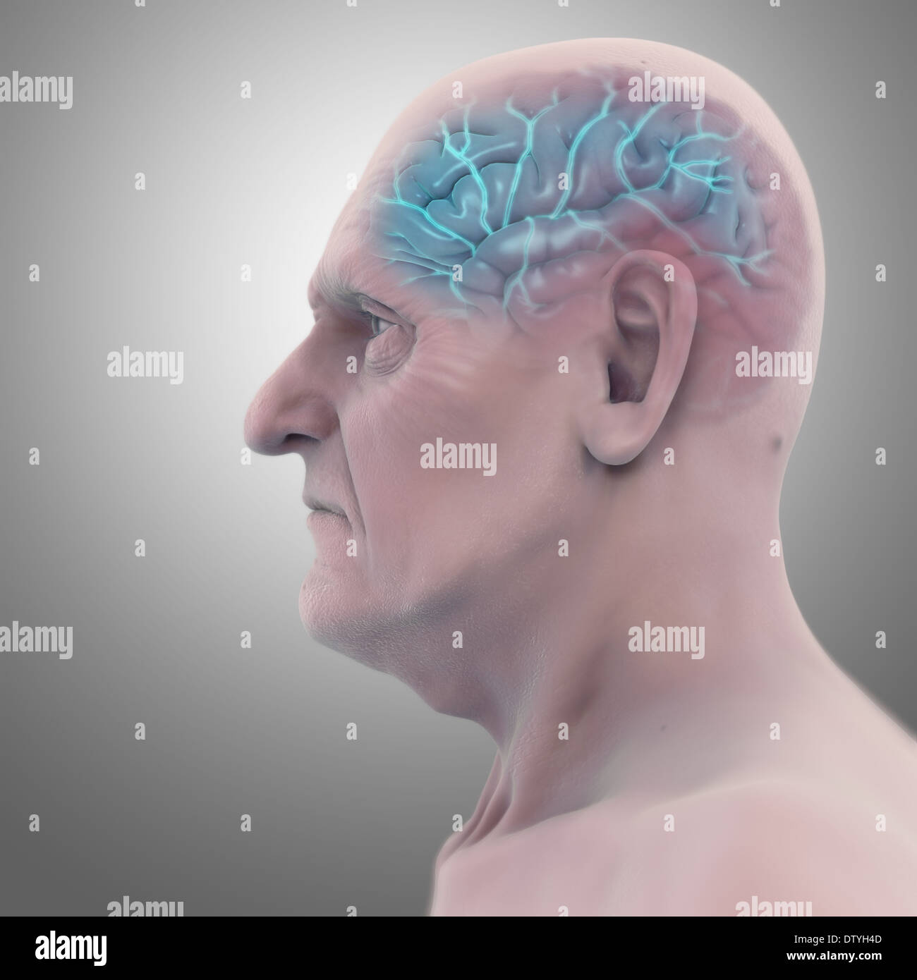 Visible ageing hi-res stock photography and images - Alamy