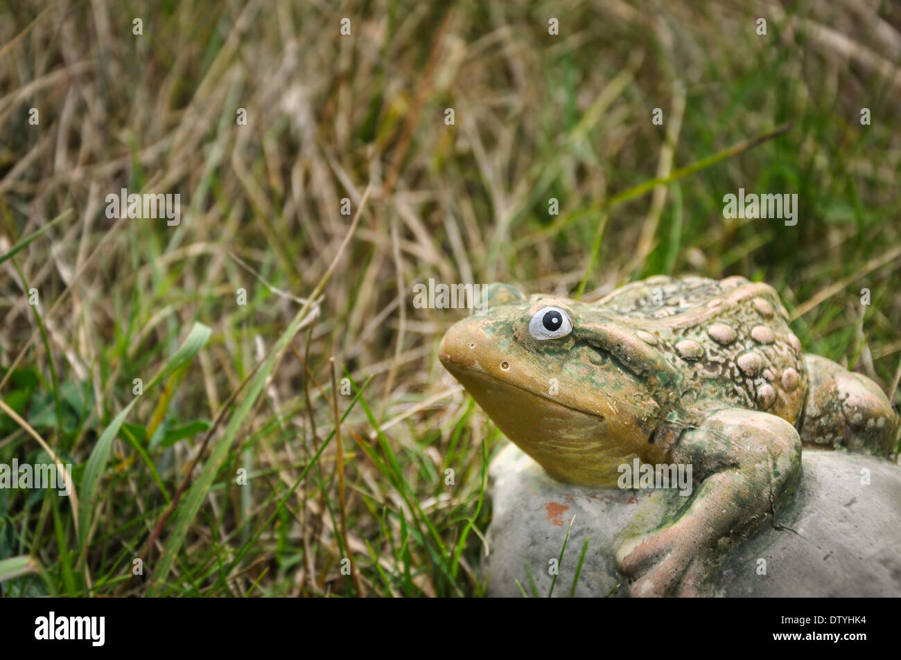 Sitting frog sculpture hi-res stock photography and images - Alamy