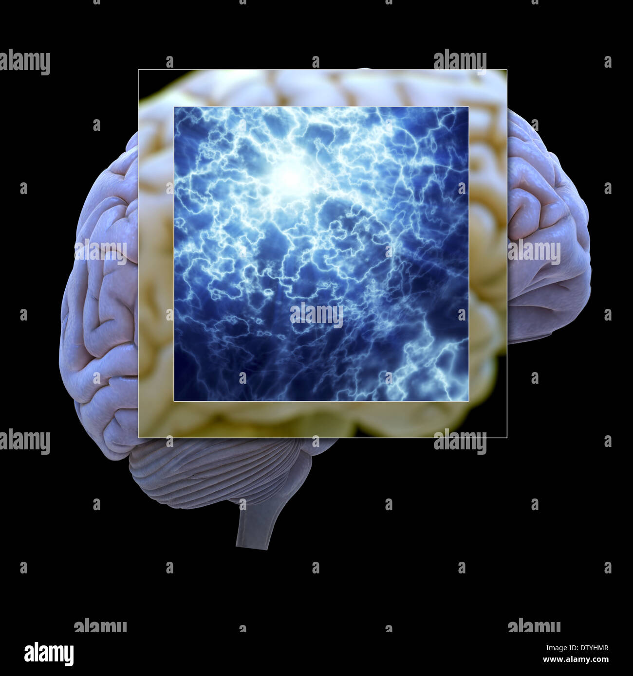 Neuron and Brain Stock Photo - Alamy