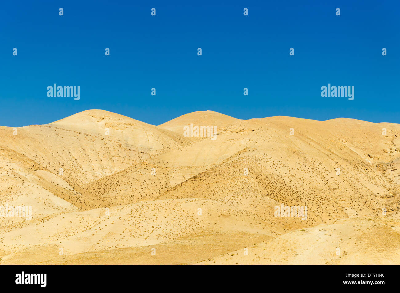 Gold sand dunes in desert landscape with clear blue sky Stock Photo - Alamy