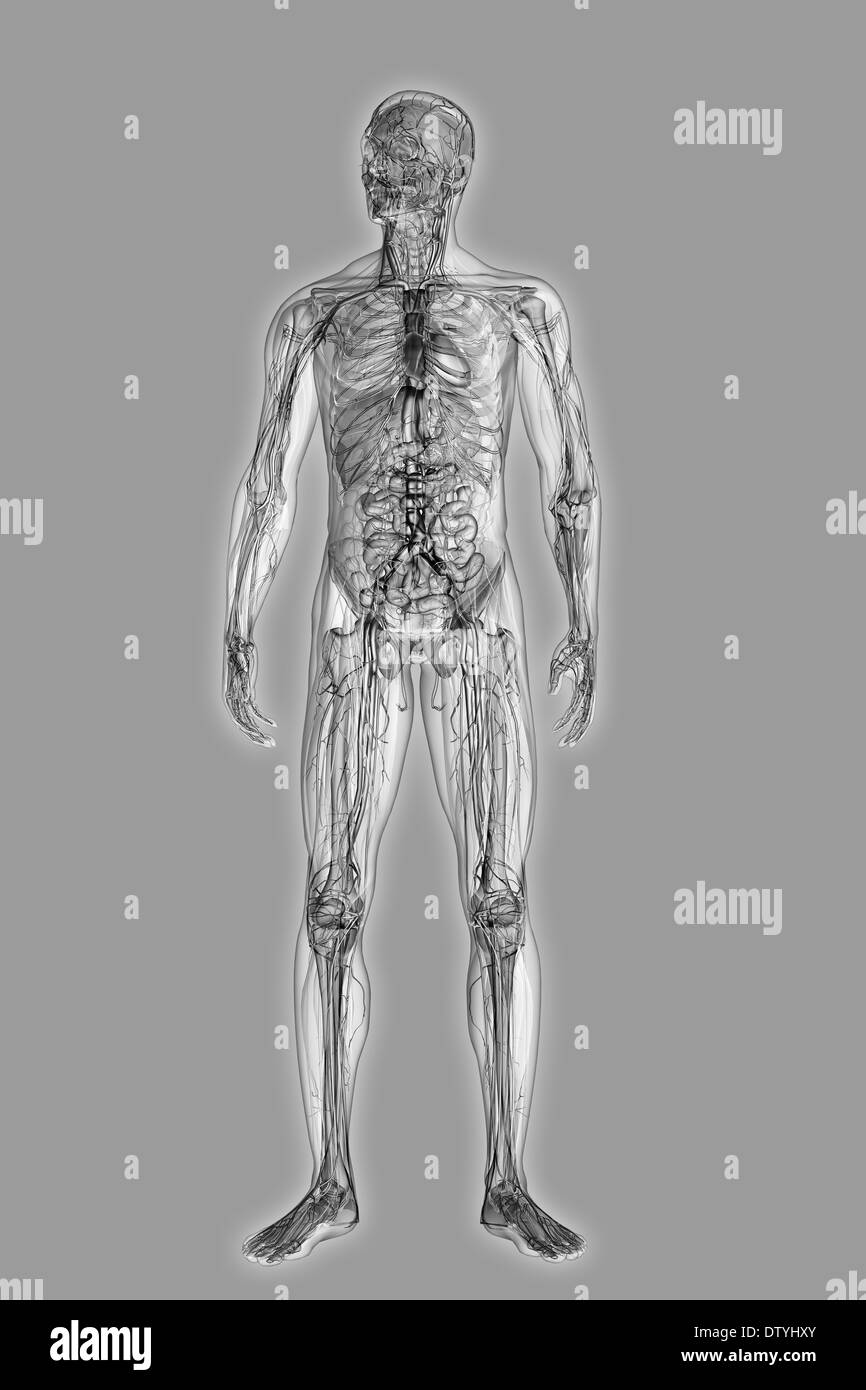 Body image male Black and White Stock Photos & Images - Alamy