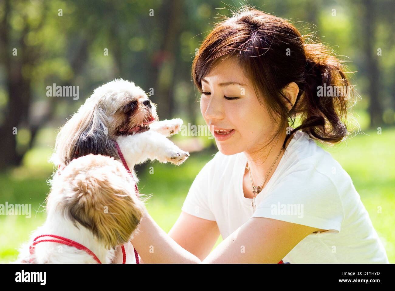 Japanese pets hi-res stock photography and images - Alamy