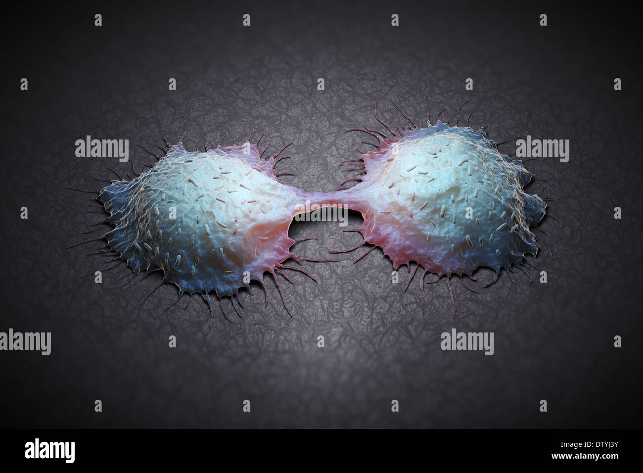 Colon Cancer Cells Stock Photo - Alamy