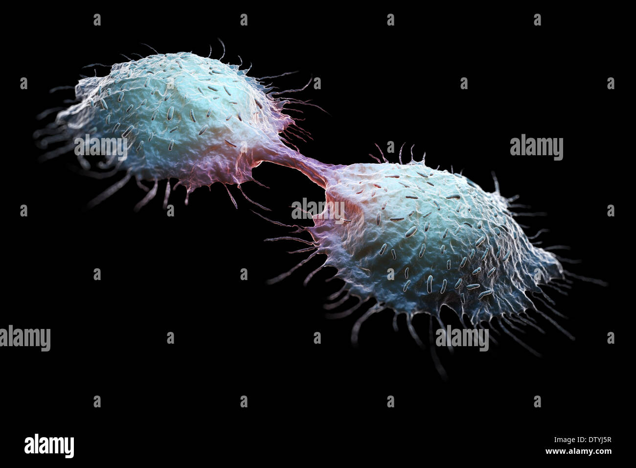Colon Cancer Cells Stock Photo - Alamy