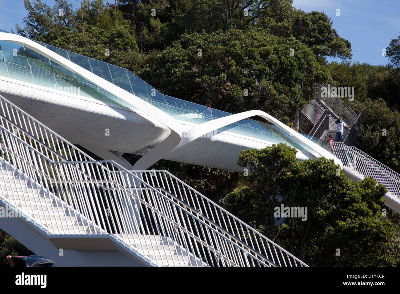 Point Resolution Bridge, Auckland, New Zealand. Architect: Warren and ...