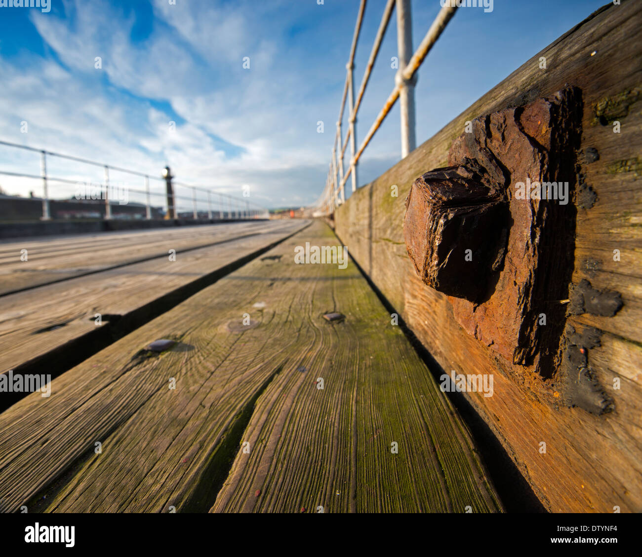 Shot low ground level hi-res stock photography and images - Alamy