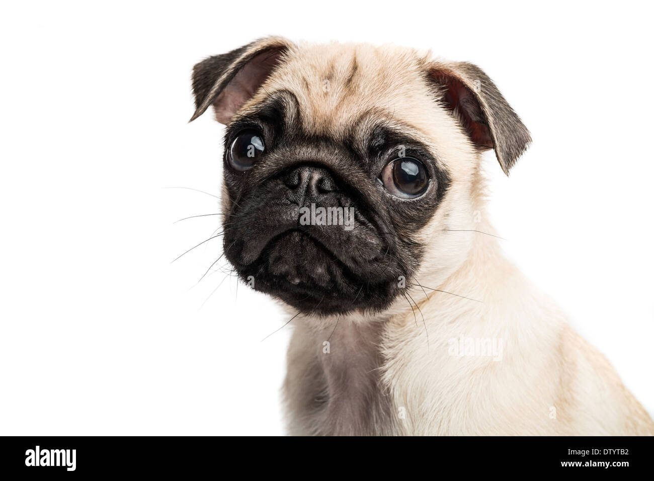 Lo sze hi-res stock photography and images - Alamy
