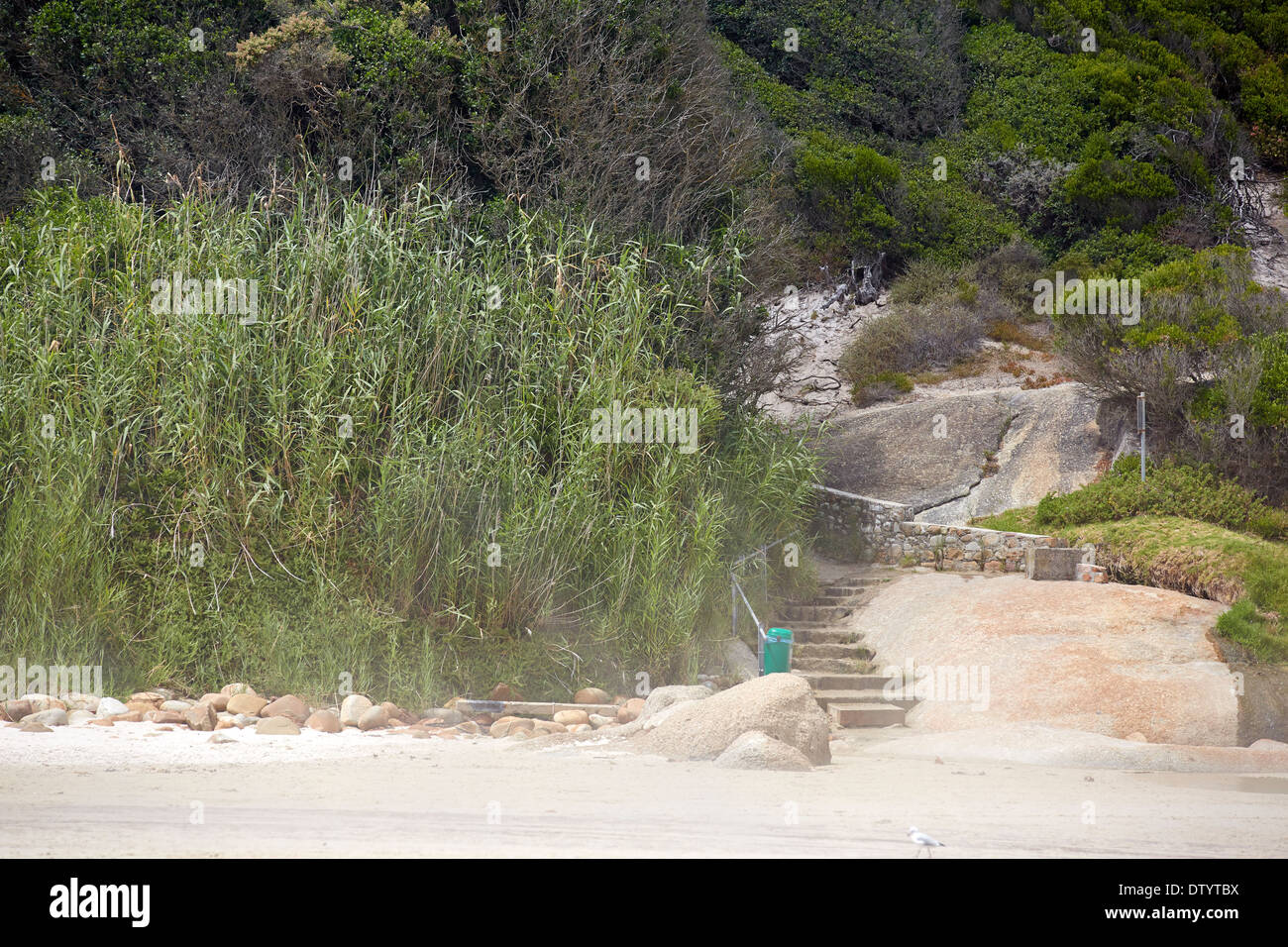 Rocky pathway to the beach Stock Photo - Alamy