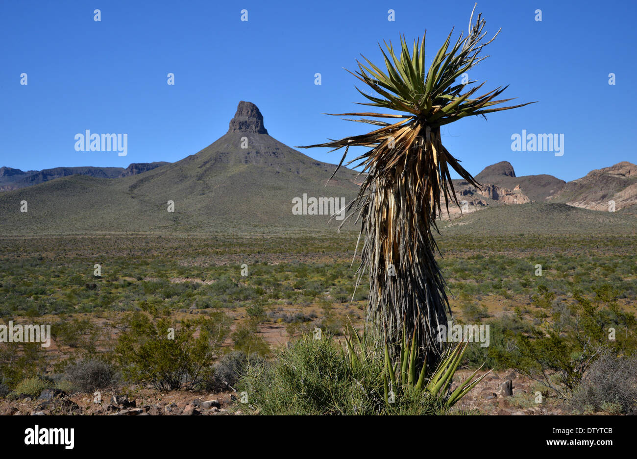 Rocks and scrub land in the foothills around 'the Witch's Teat' rock ...