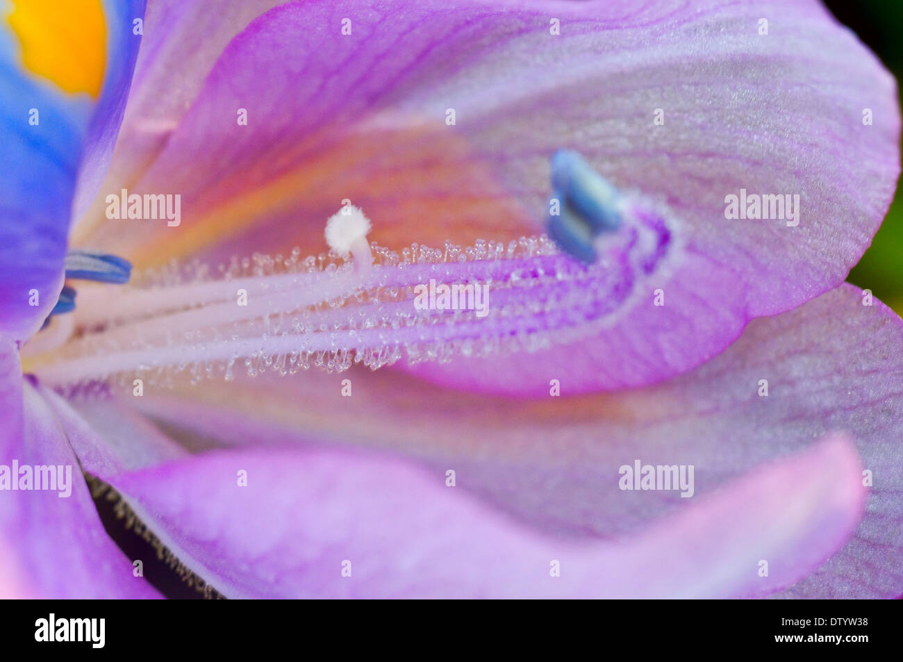 When You're Feeling Low Stock Photo - Alamy