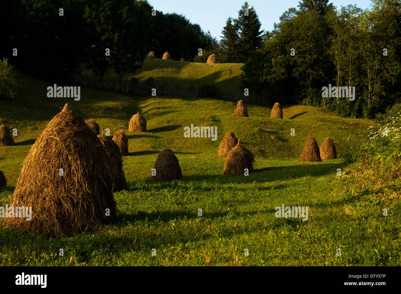 Landscape in Bucovina Stock Photo - Alamy