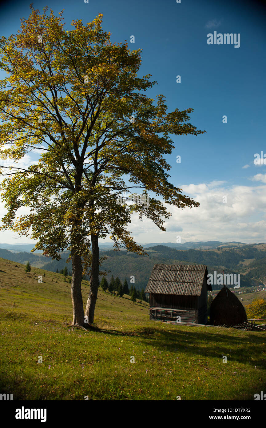Landscape in Romania Stock Photo - Alamy