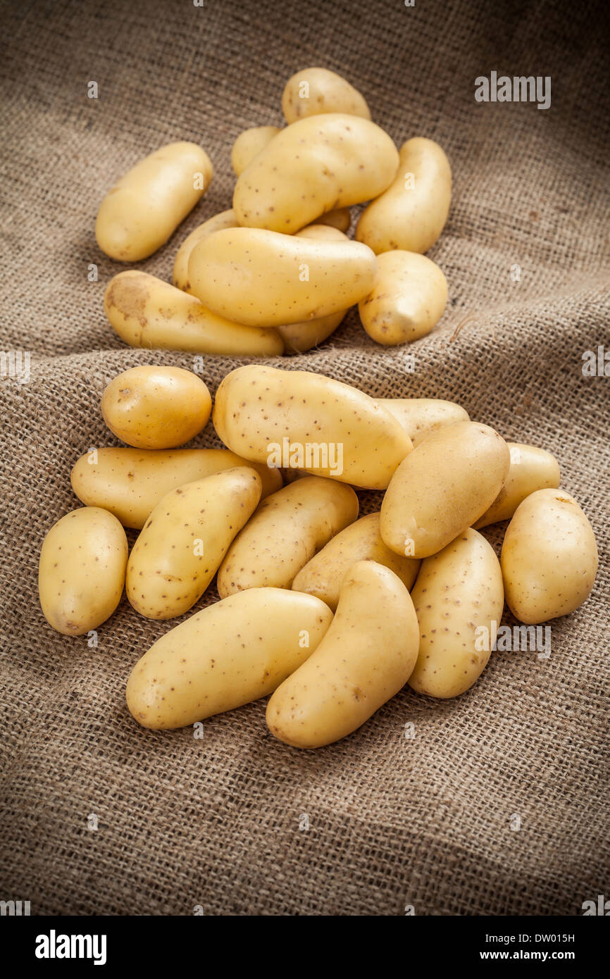 Hemp canvas hi-res stock photography and images - Alamy