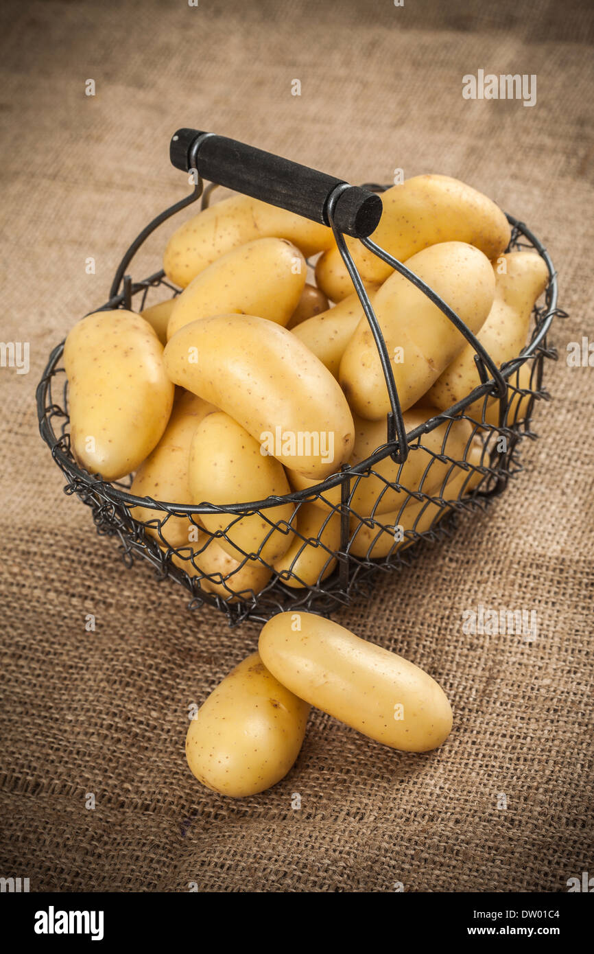 Young hemp hi-res stock photography and images - Alamy