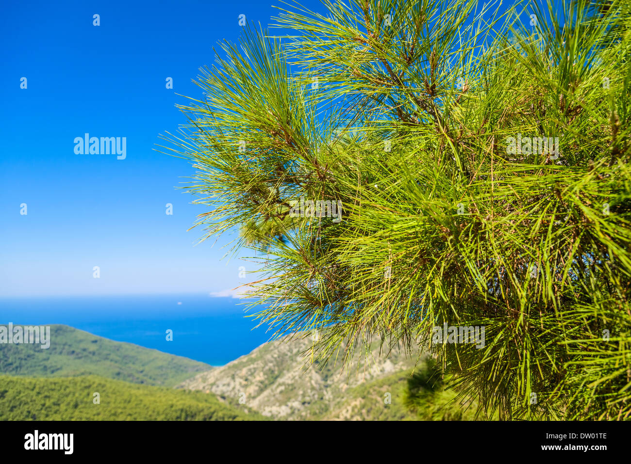From the height hi-res stock photography and images - Alamy