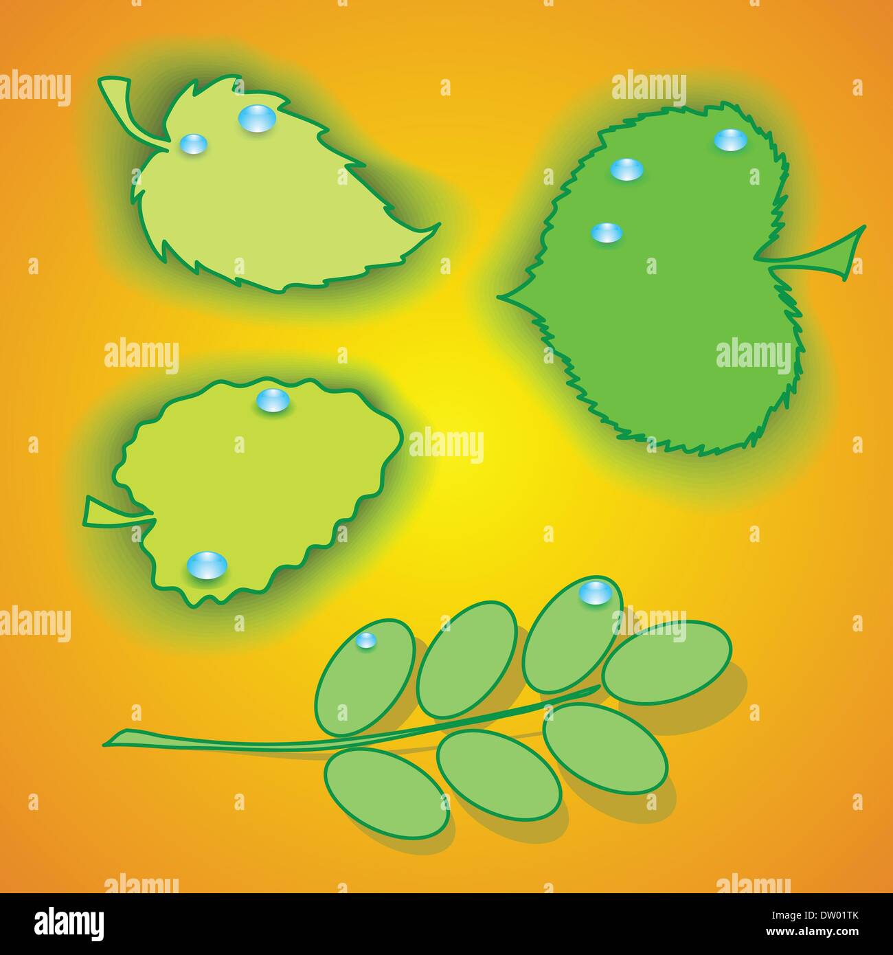 Set of leaves Stock Photo - Alamy