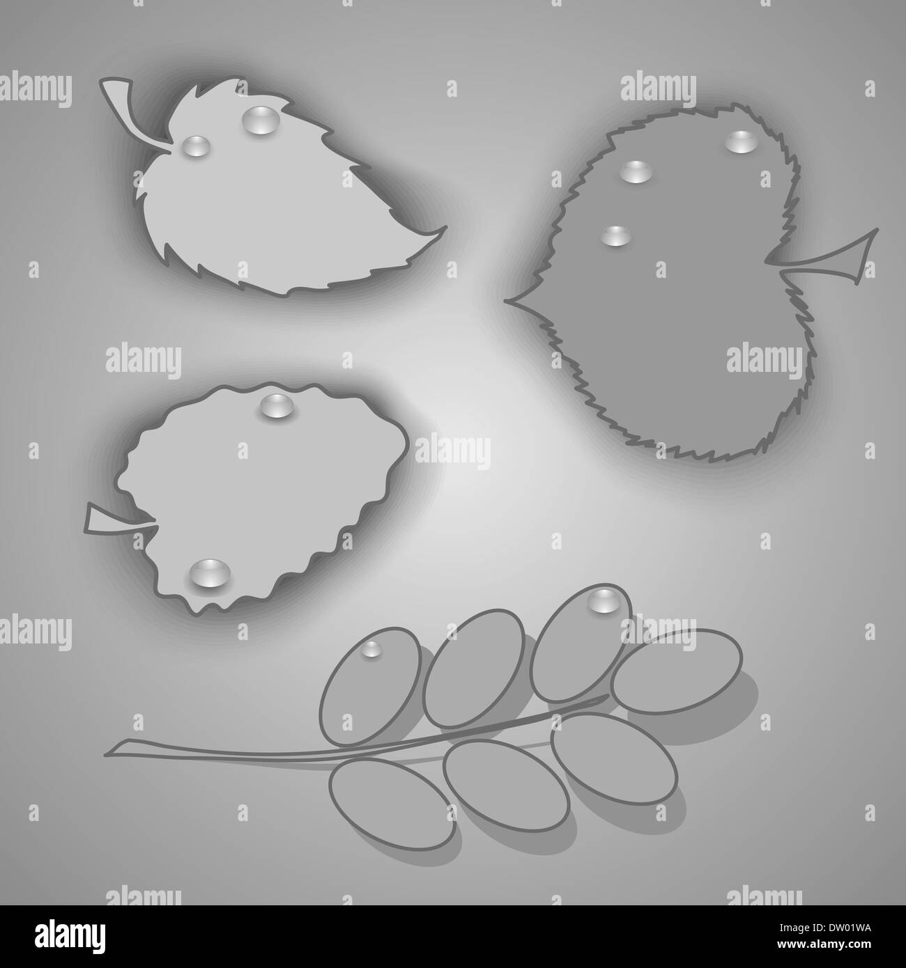Abstract splatter vignette background Black and White Stock Photos ...