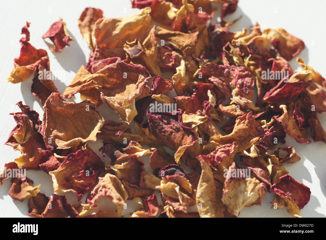 Dried rose flowers Stock Photo - Alamy
