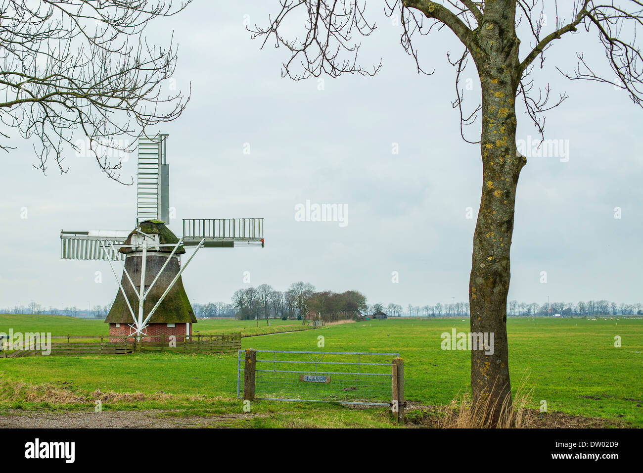 Old and small windmill in Dutch landscape Stock Photo - Alamy