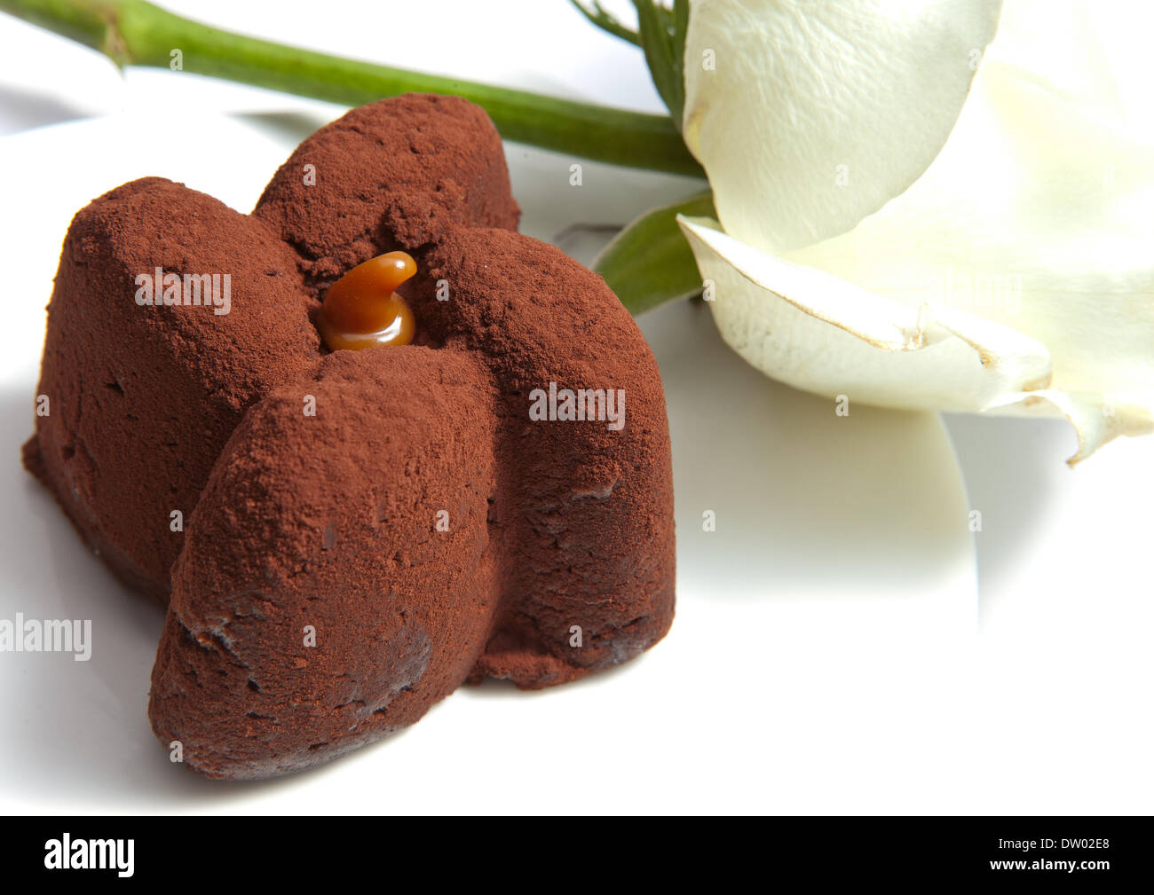 Chocolate cake and white rose Stock Photo - Alamy