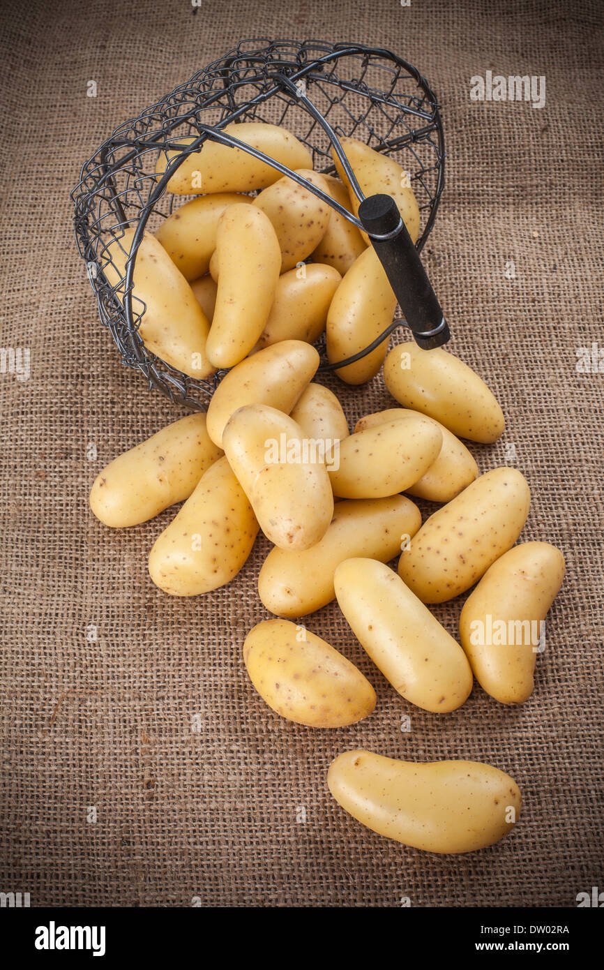 Hemp canvas hi-res stock photography and images - Alamy