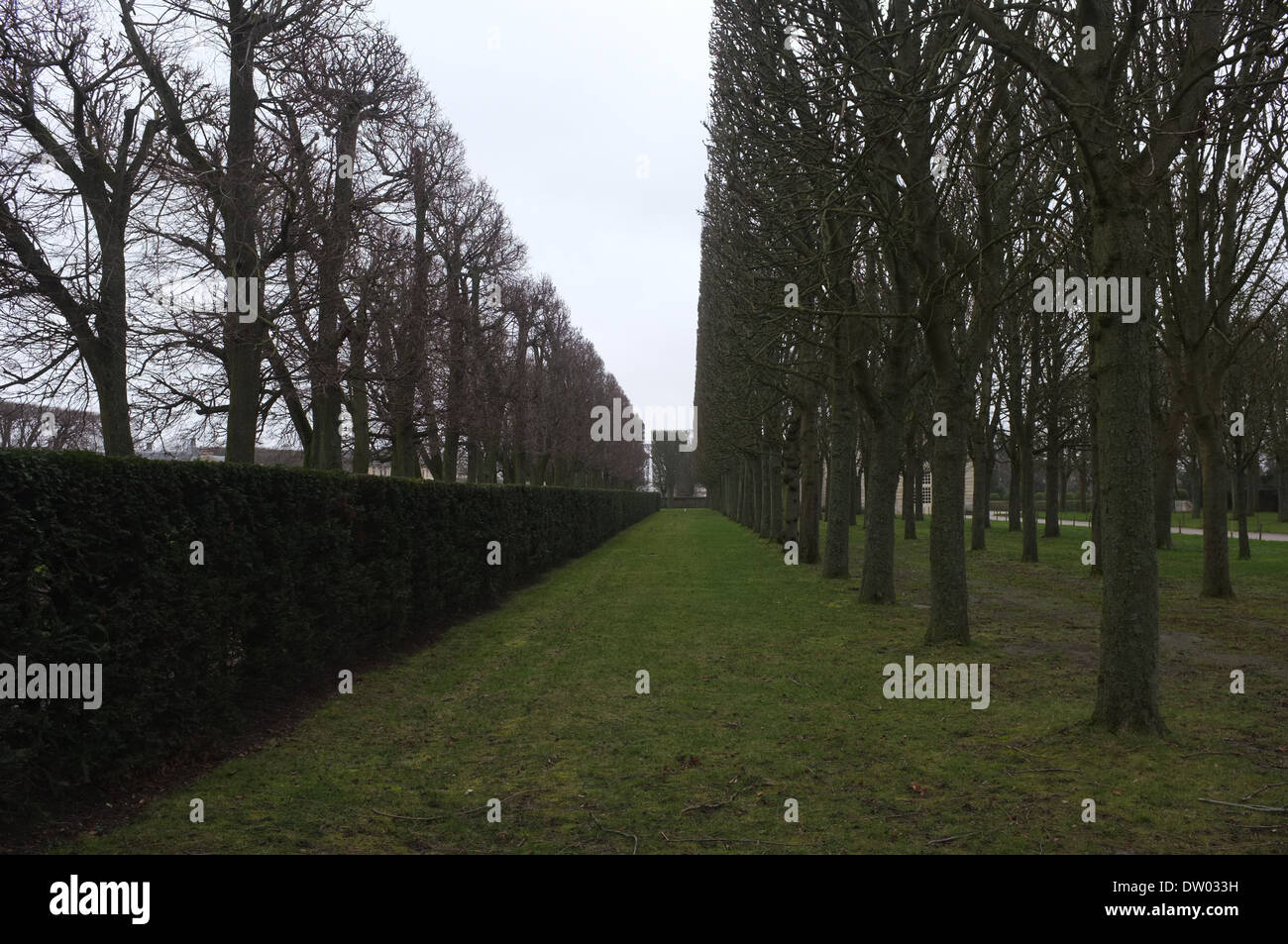 Palace at Sceaux, Paris, Square Cut trees Topiary Stock Photo - Alamy