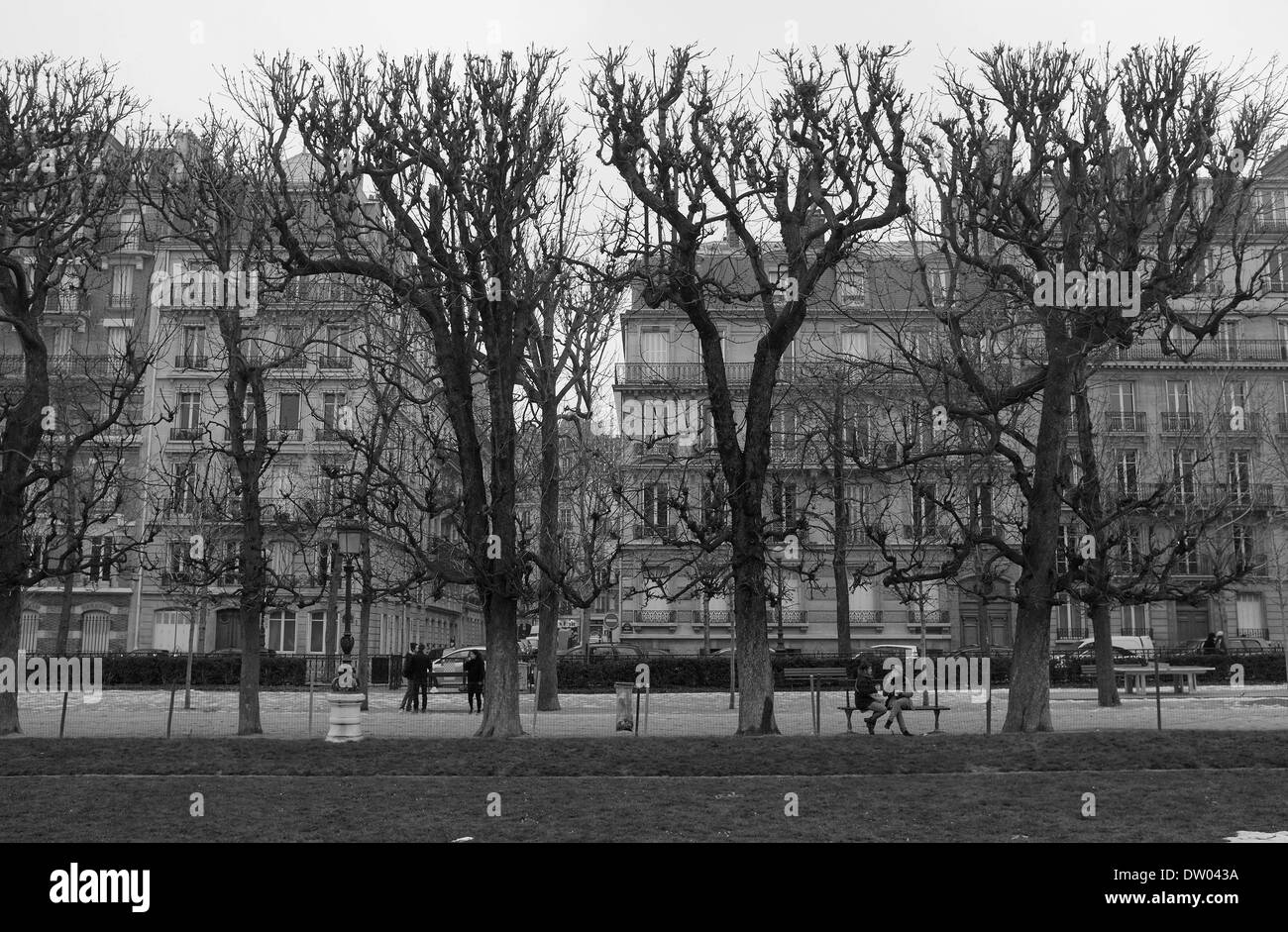 Luxembourg Gardens, Paris, France, square trimmed trees, black and whit ...