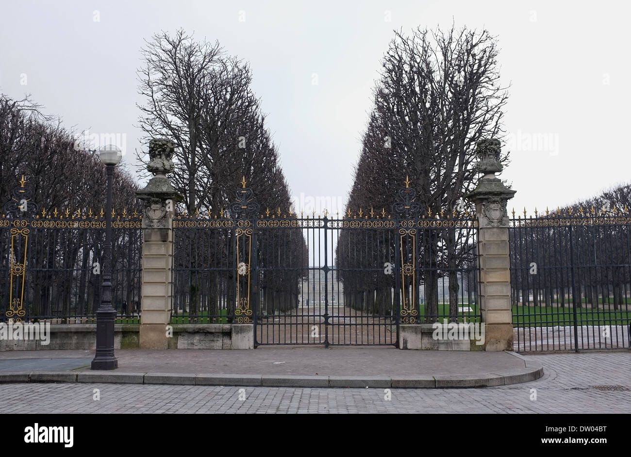 Square Trees Paris High Resolution Stock Photography and Images - Alamy