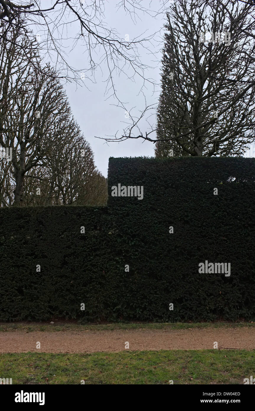 Palace at Sceaux, Paris, Square Cut trees Topiary Stock Photo - Alamy