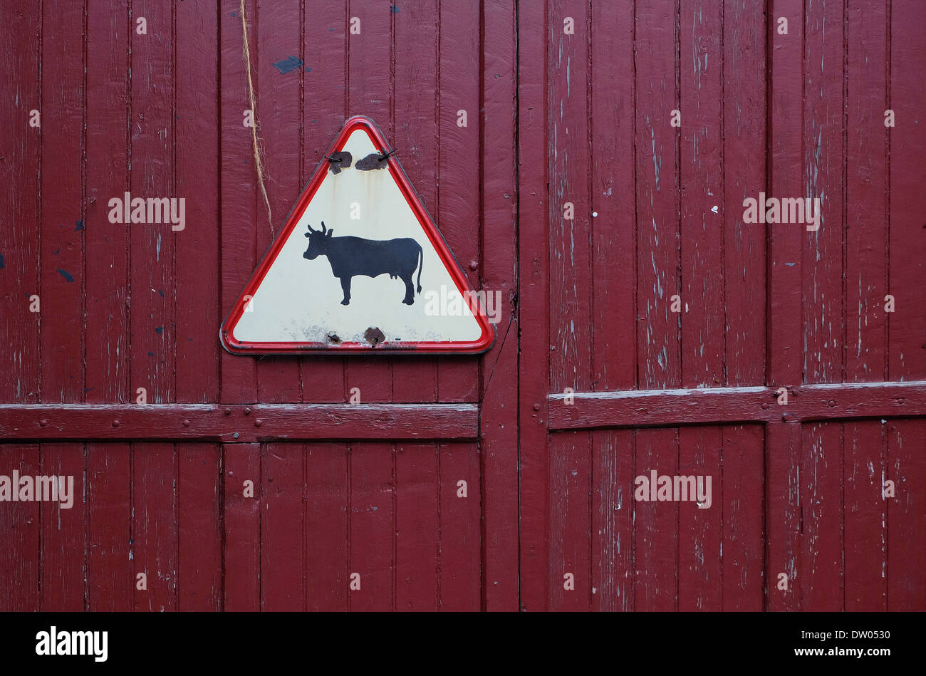 beware of cattle sign on garage door, normandy, france Stock Photo - Alamy