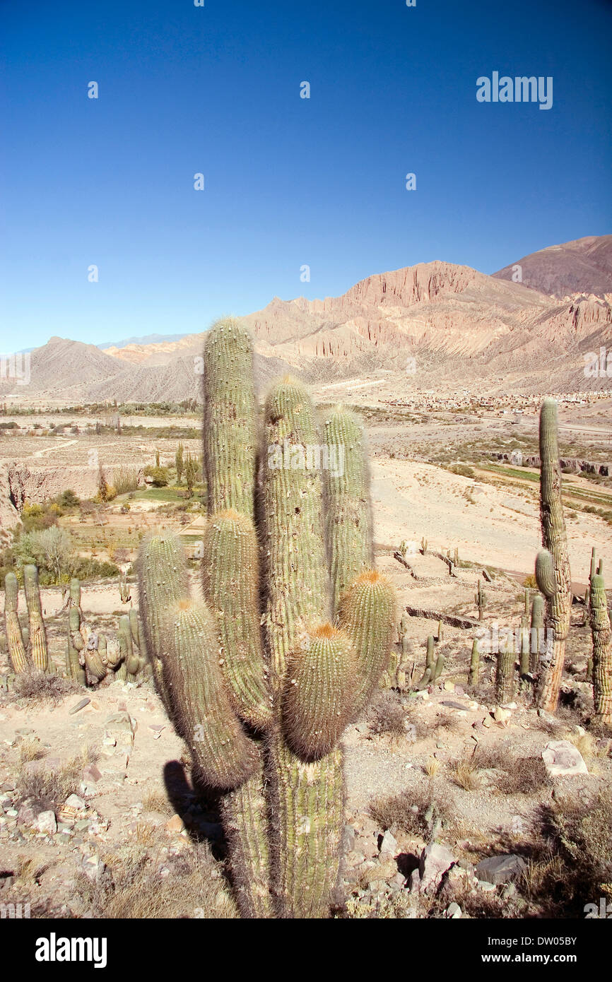 Tilcara, Quebrada de Humahuaca, Jujuy, Argentine Stock Photo - Alamy