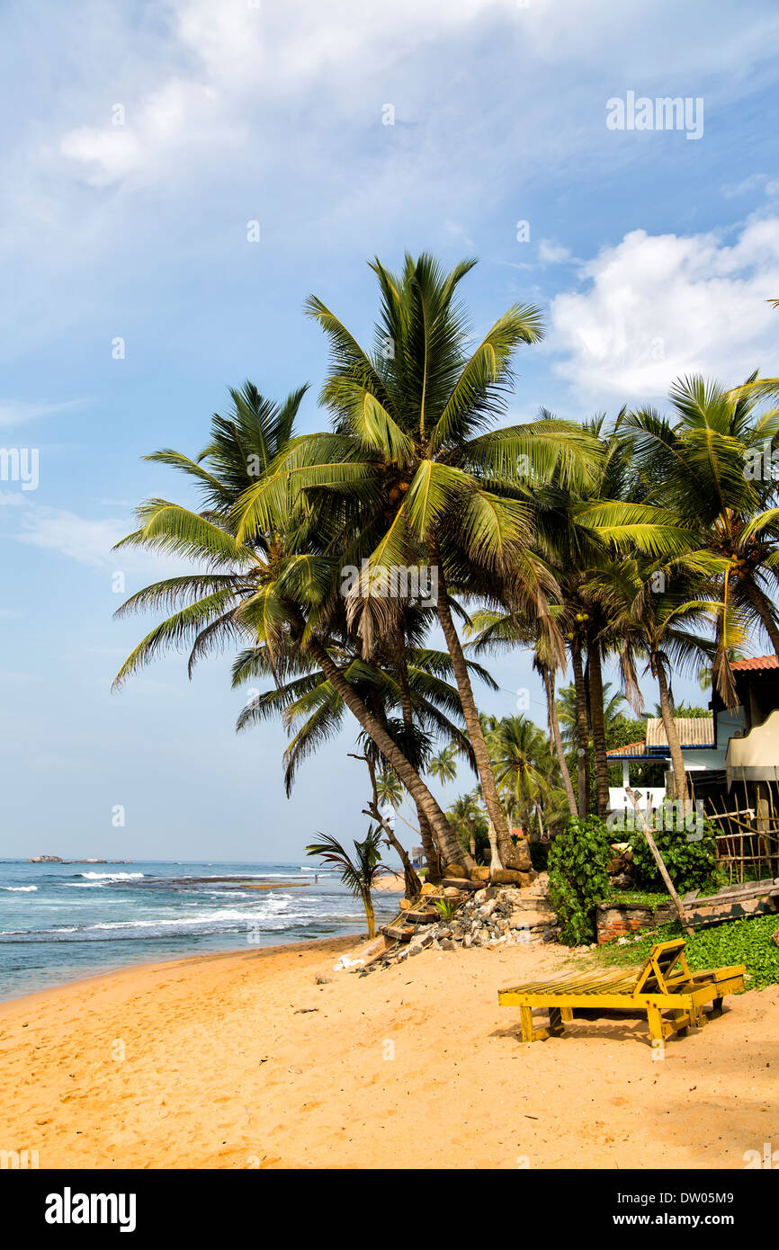 Negombo beach at Sri Lanka Stock Photo - Alamy