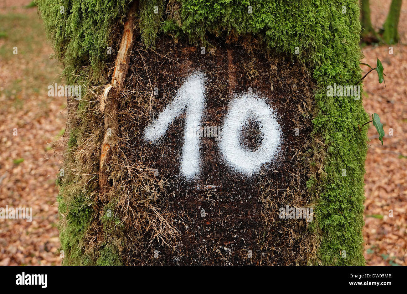 Numeral 10 hi-res stock photography and images - Alamy