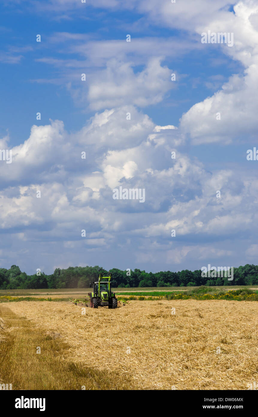 Green and yellow tedder hi-res stock photography and images - Alamy