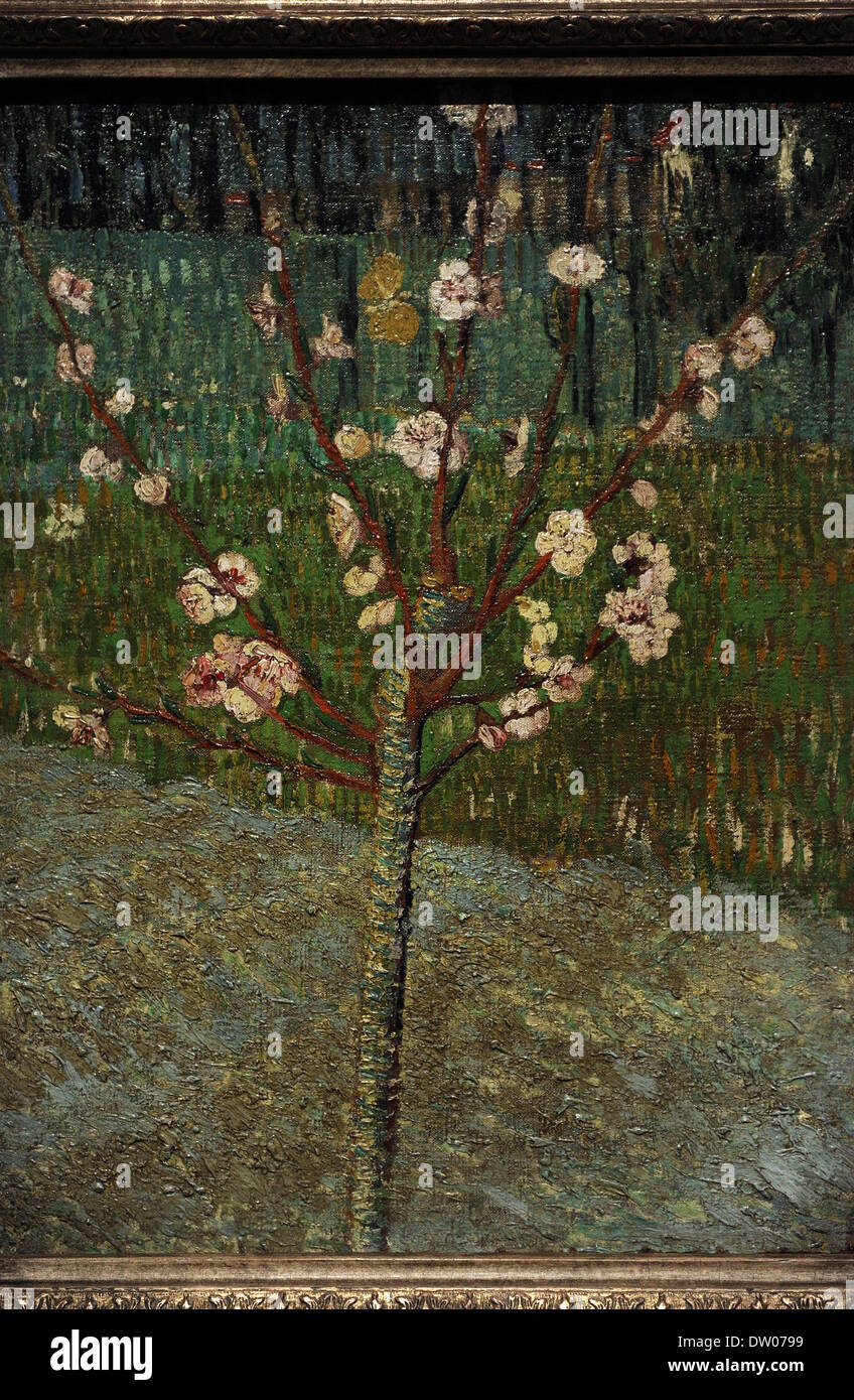 Flower painting by vincent van gogh hi-res stock photography and images ...