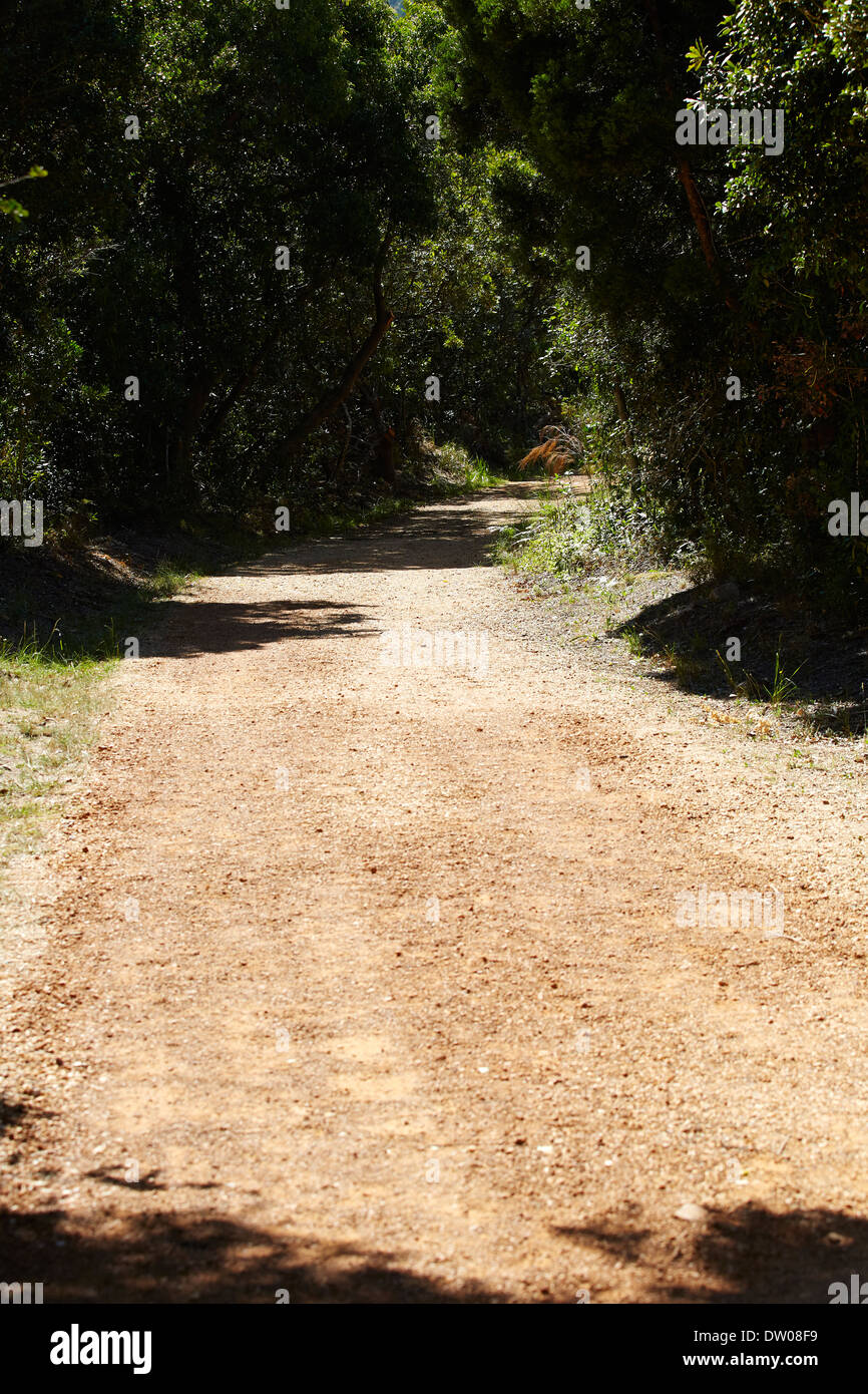 Dirt track road Stock Photo - Alamy