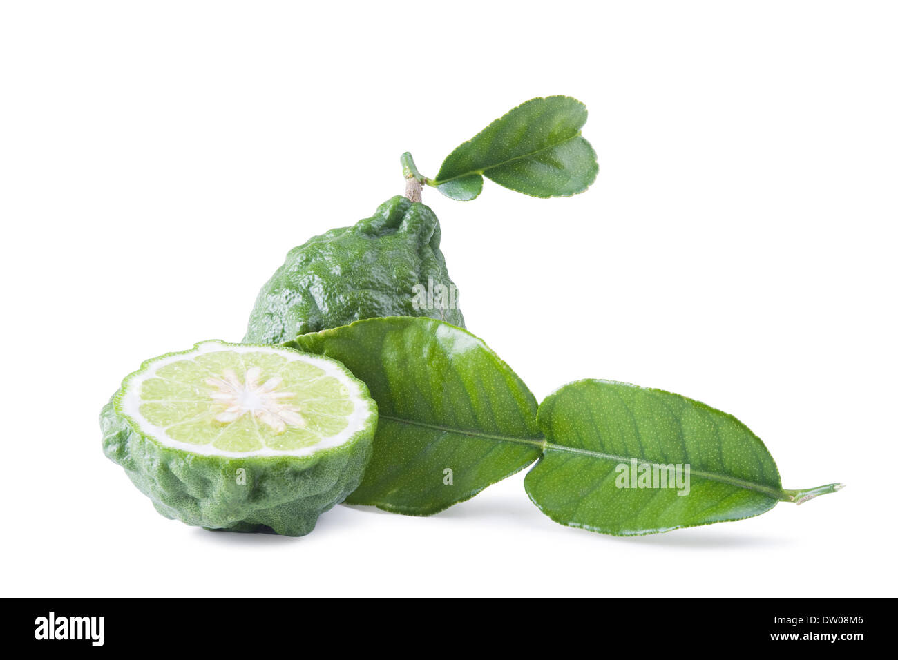 Close up kaffir lime citrus hi-res stock photography and images - Alamy