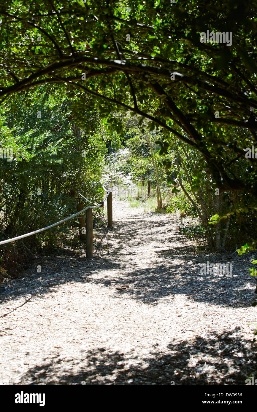 Dirt track road Stock Photo - Alamy