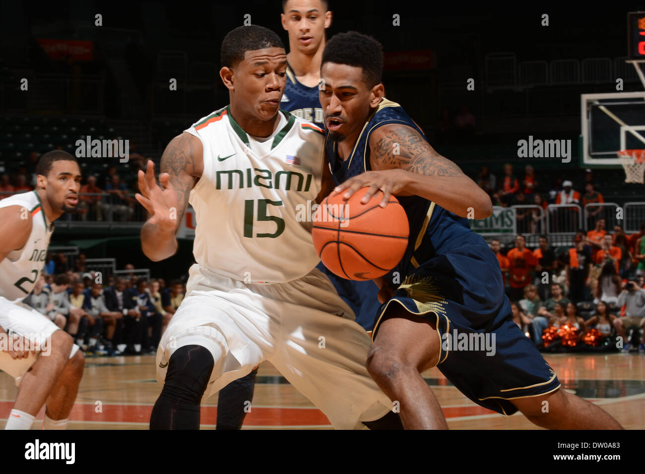 Coral atkins hi-res stock photography and images - Alamy