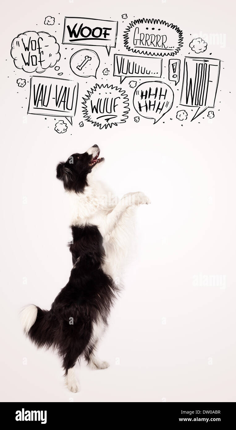 Cute dog with barking bubbles Stock Photo - Alamy