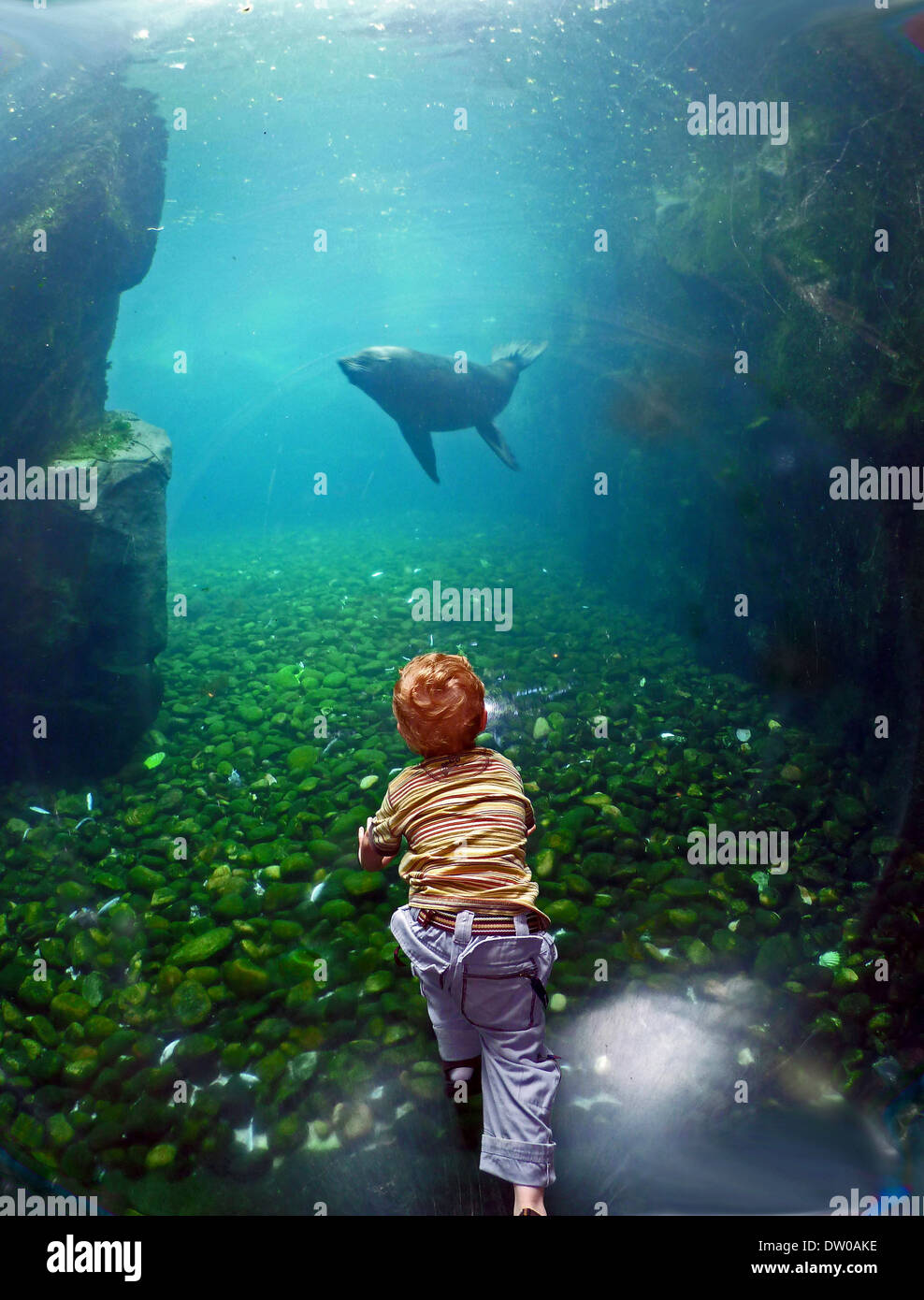 fantasy.child on the sea bed Stock Photo - Alamy