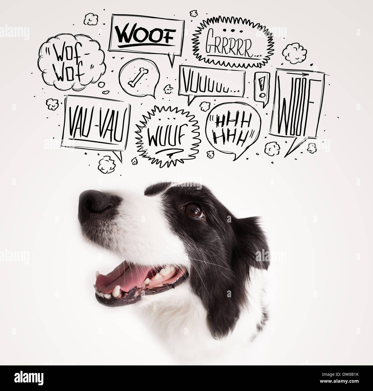 Cute dog with barking bubbles Stock Photo - Alamy