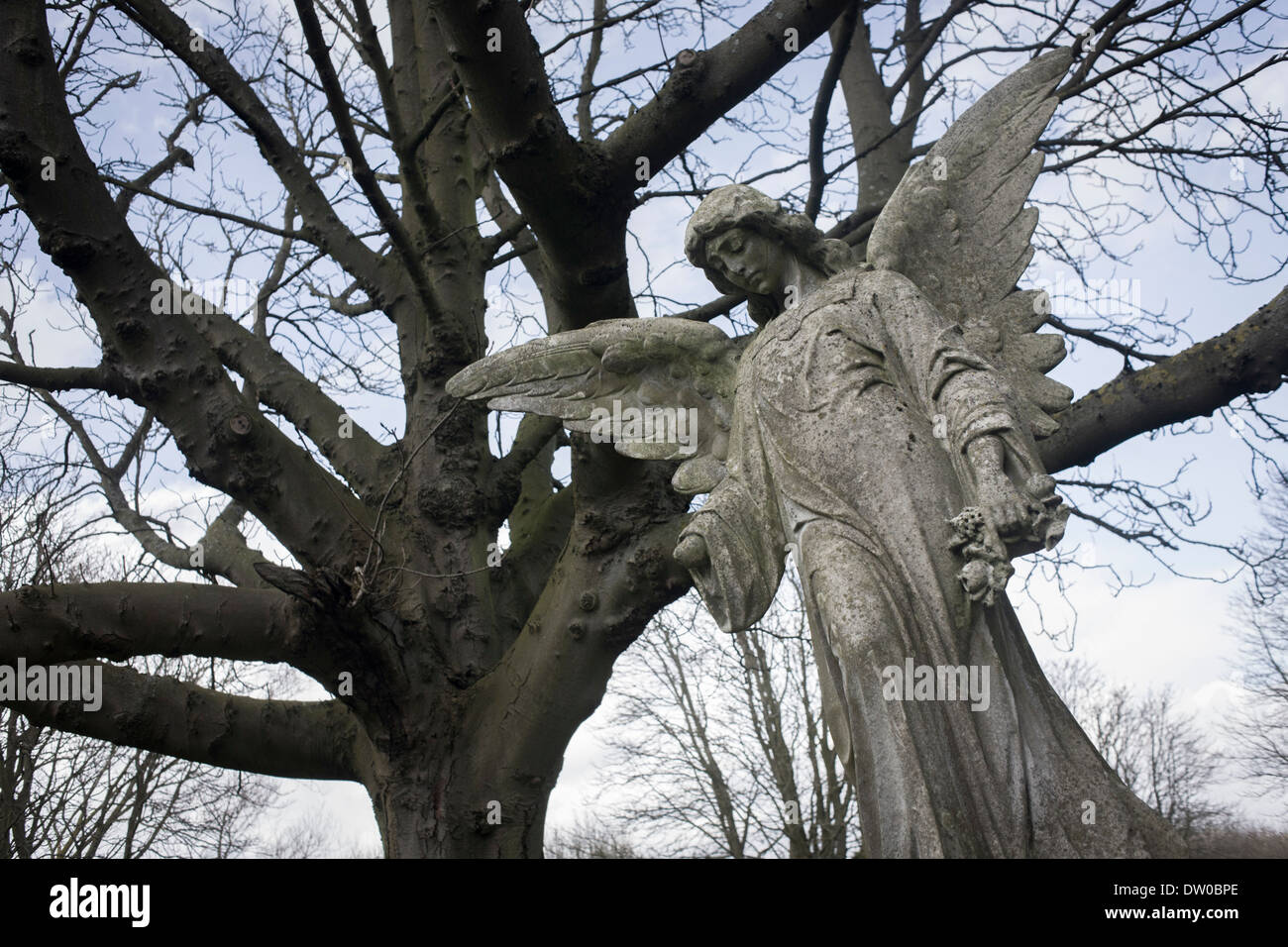Cemetery stone with family tree hi-res stock photography and images - Alamy