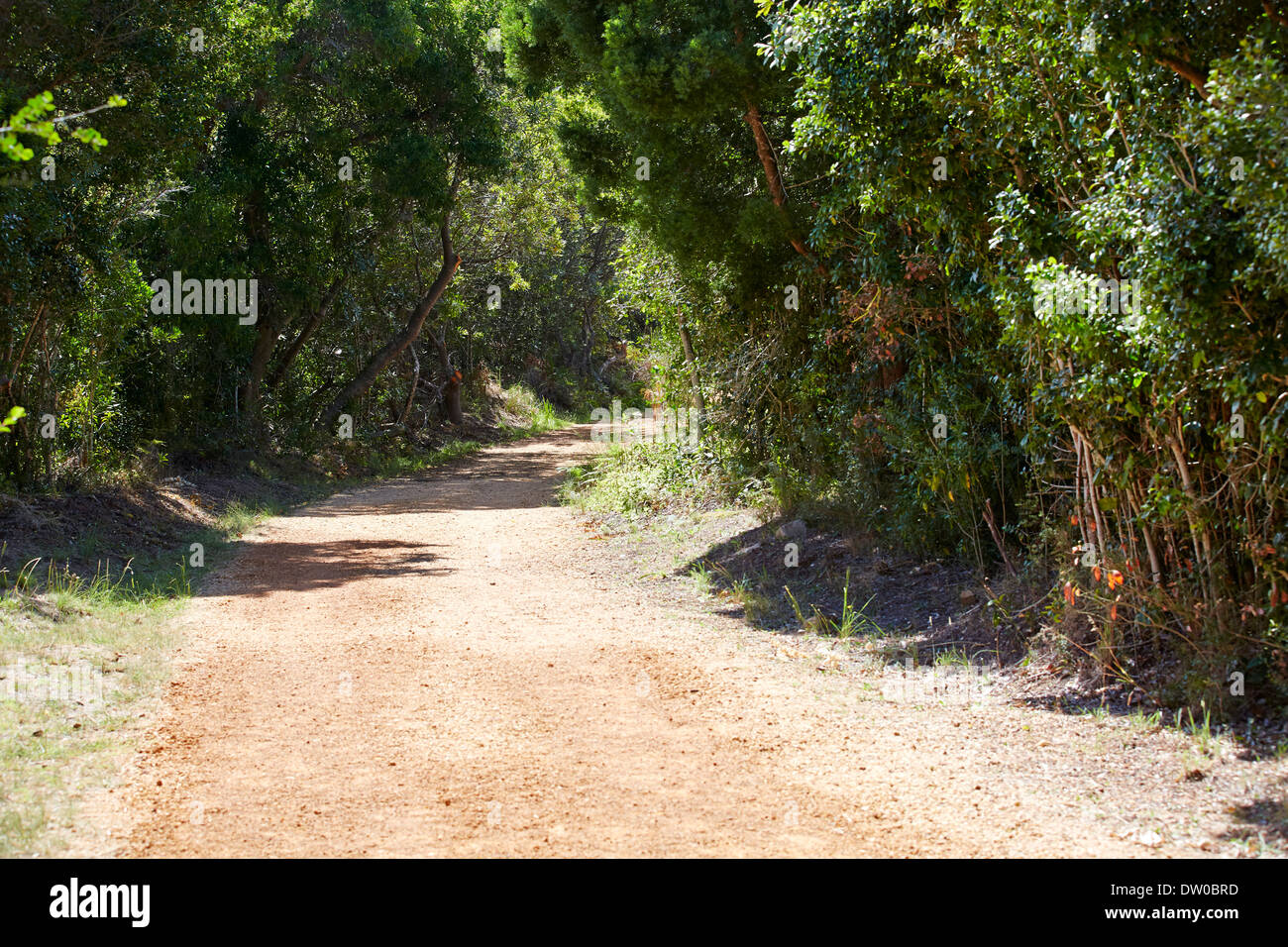 Dirt track road Stock Photo - Alamy